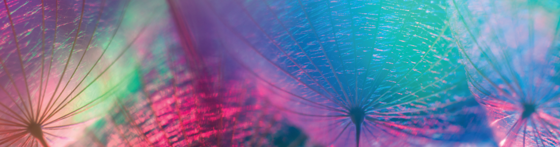 The truth about colour therapy - MindBodySpirit Festival Melbourne
